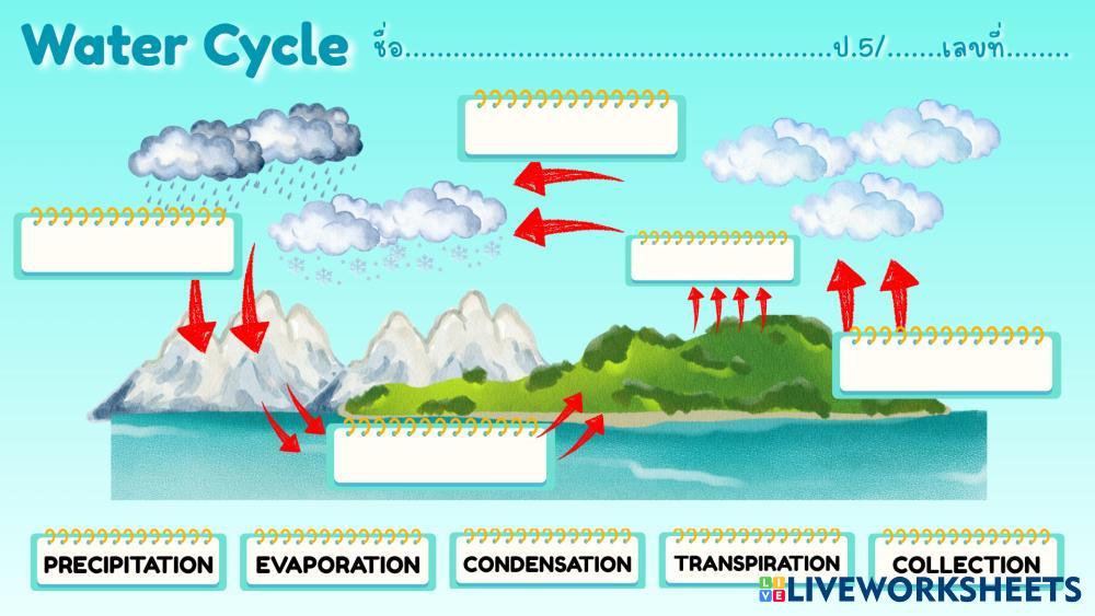 Water Cycle G.5 | Science Worksheets | 8276850