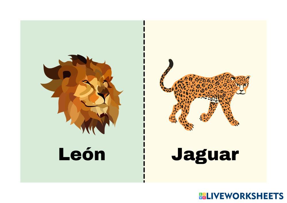 DEMO | English Language Worksheets | 8282456