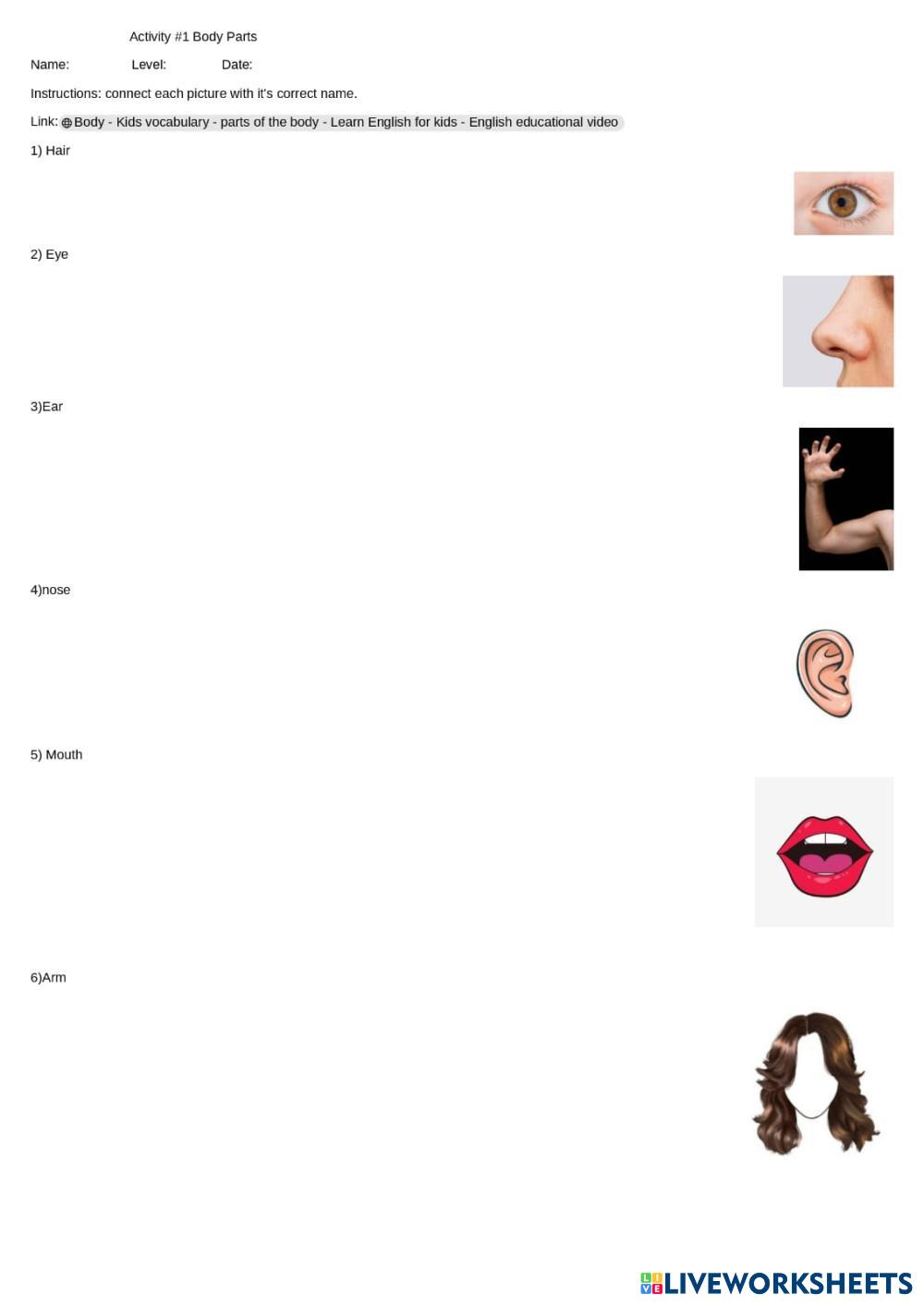 Parts of body | English Language Worksheets | 8286107