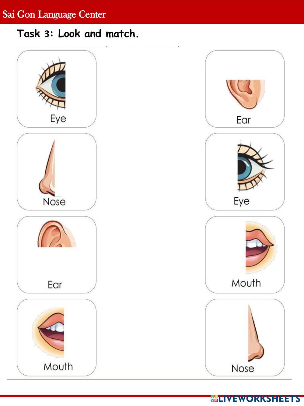 FFs0 Topic 8 | English Language Worksheets | 8286544