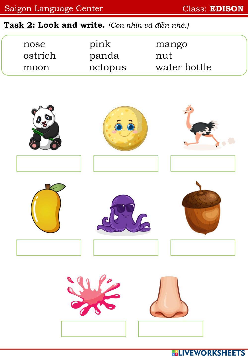 MNOP | English Language Worksheets | 8290868