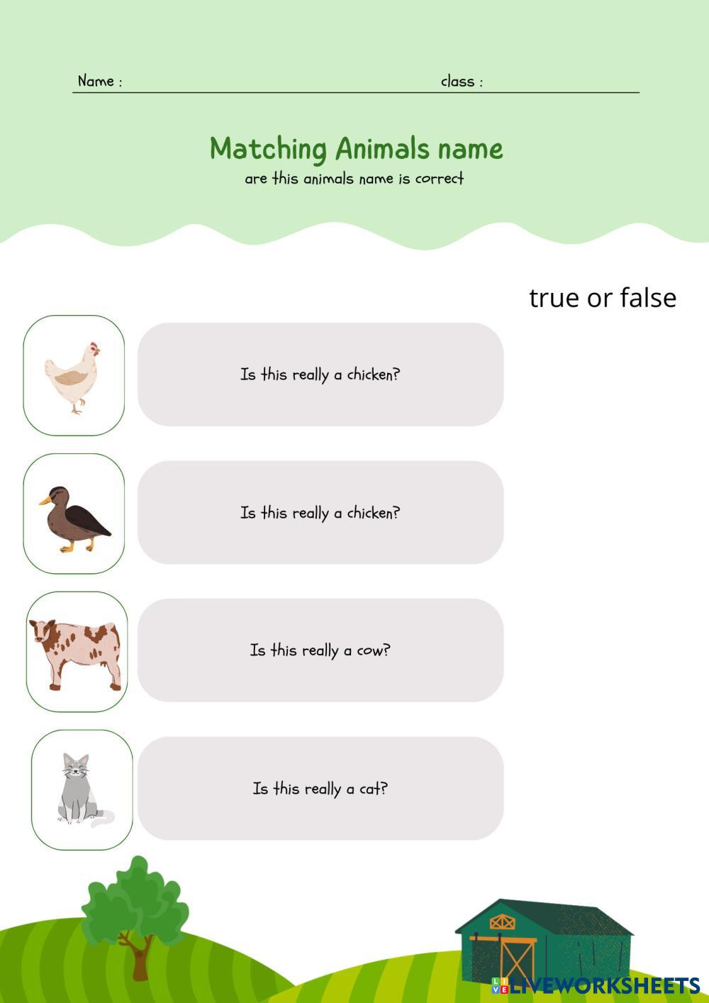 correct animals… | English Language Worksheets | 8324904