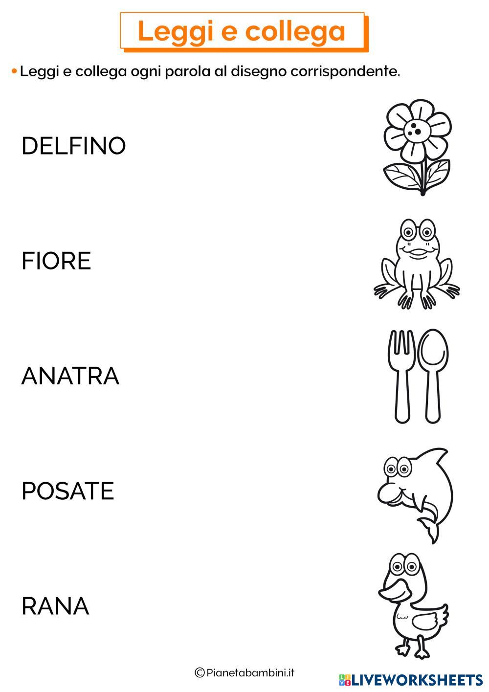 Leggi e collega | Free Interactive Worksheets | 8031017