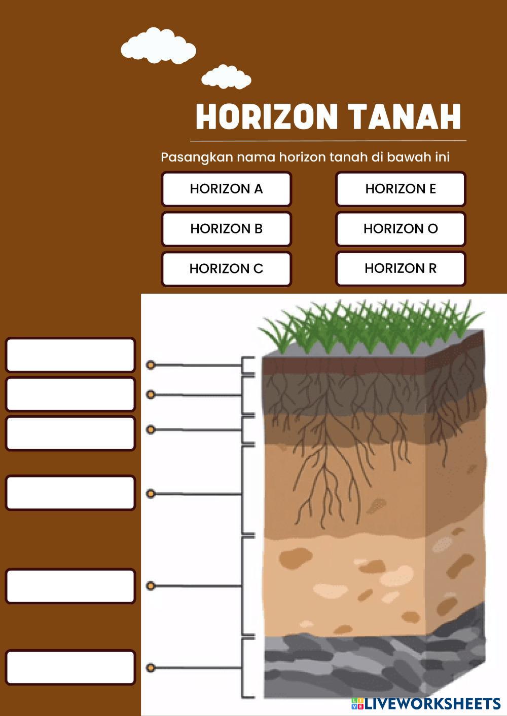8039272 | HORIZON TANAH | AbdulKarim26 | LiveWorksheets
