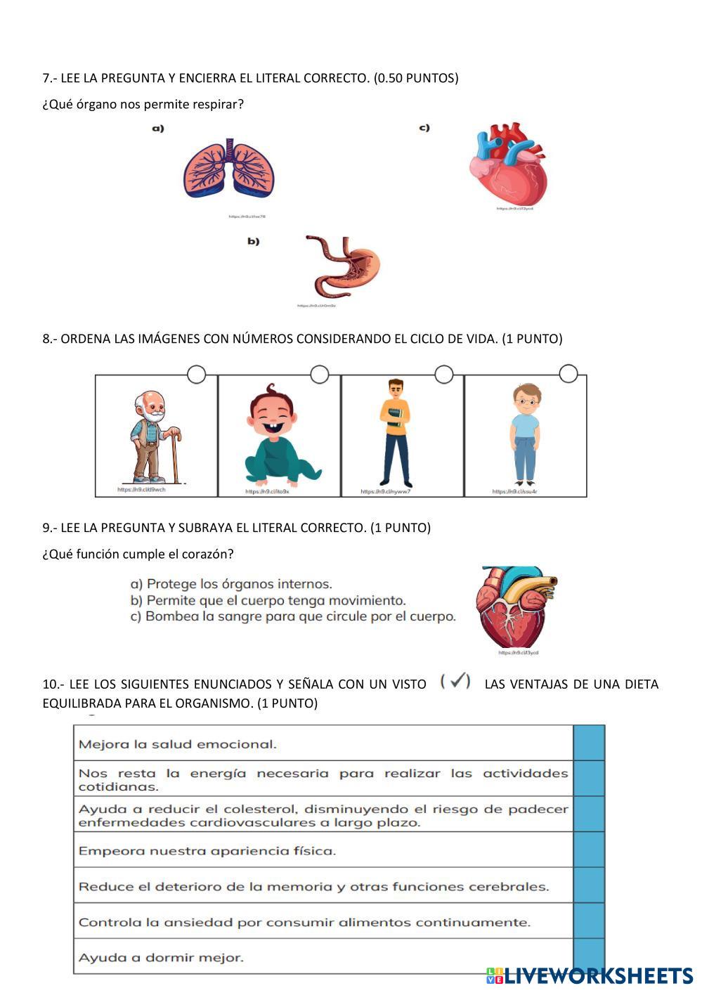 8041995 | EXAMEN CCNN 3T | KAREN SALVATIERRA