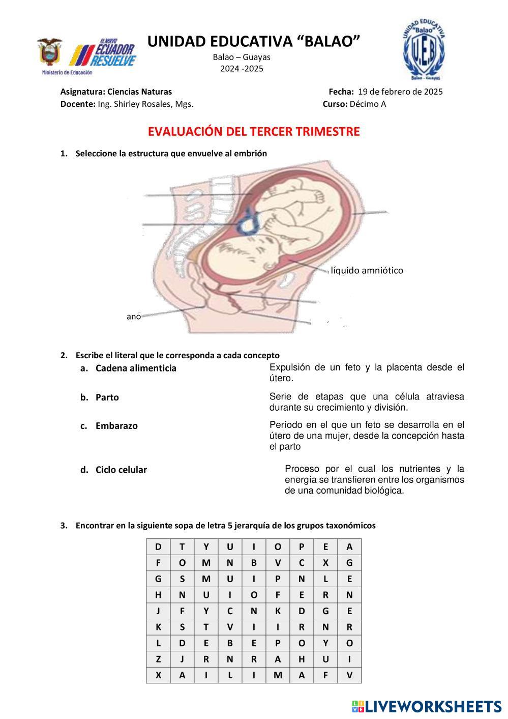 Examen CCNN 3T | Free Interactive Worksheets | 8042758