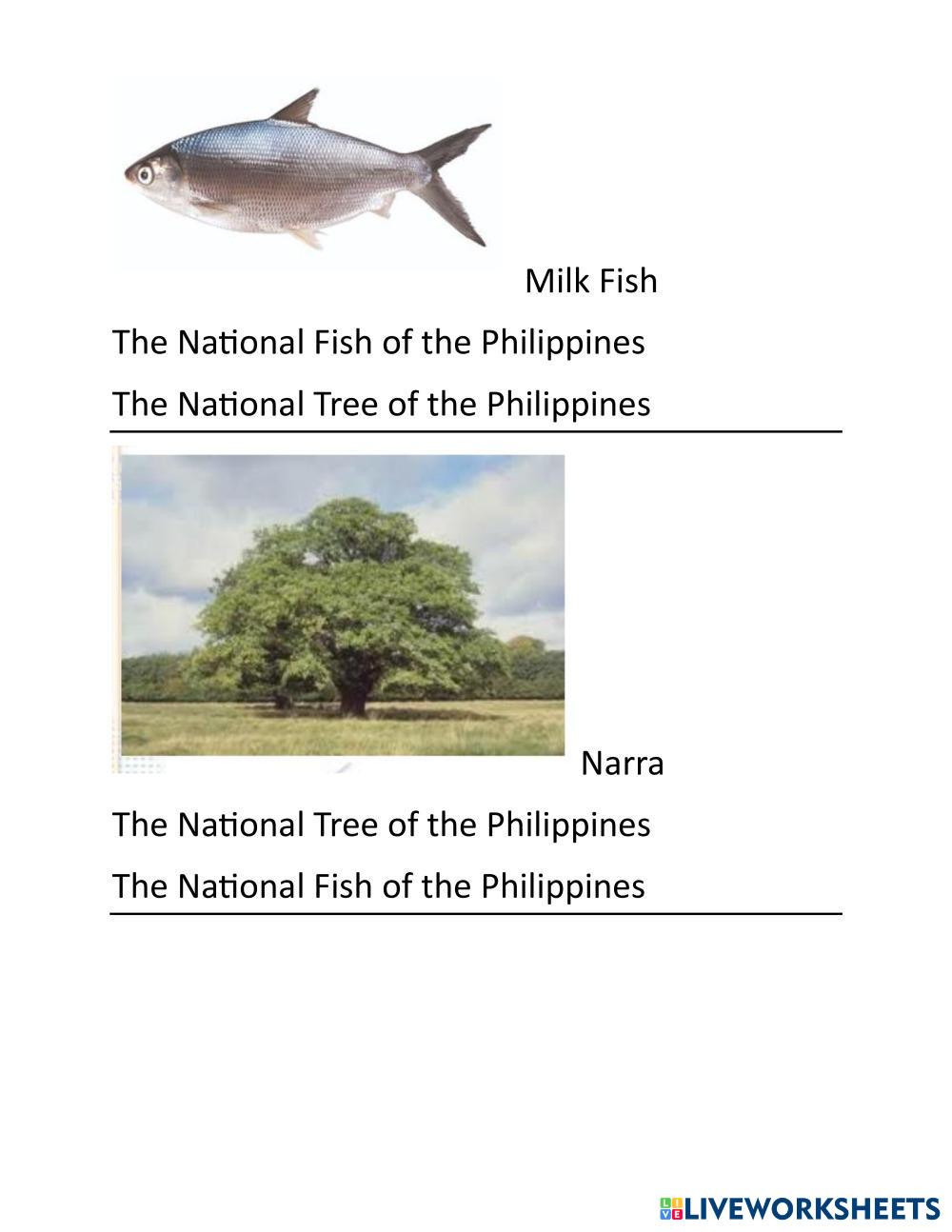 8044176 | GMRC | byselake2014 | LiveWorksheets