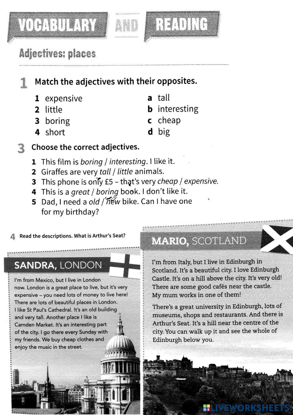 8046572 | Prepare 5. Unit 13. Reading | Олена Заверуха