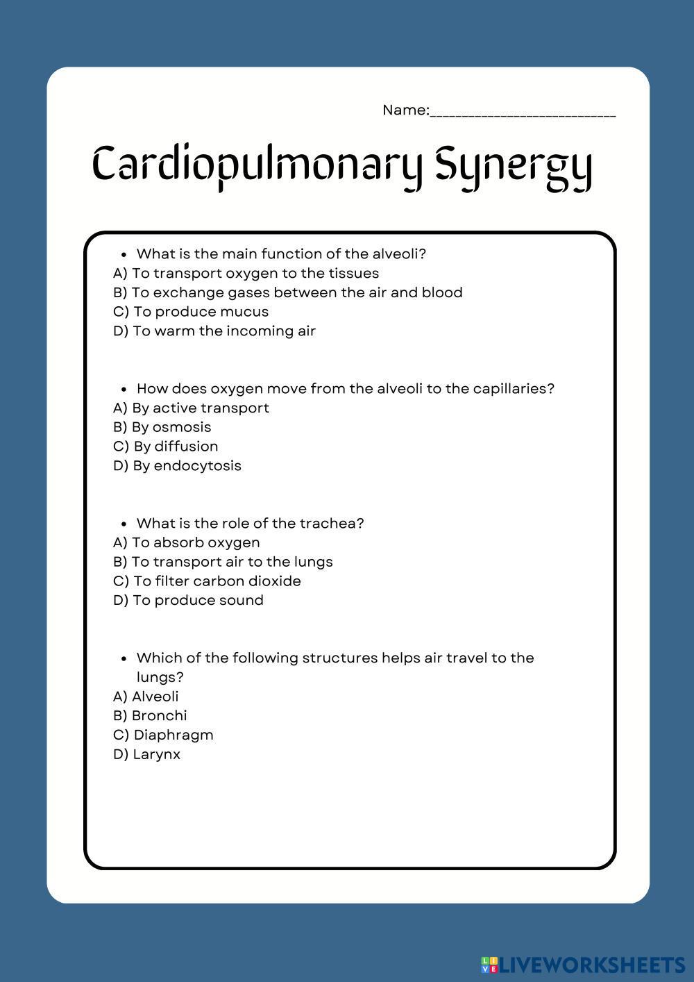 8046917 | Cardiopulmonary Synergy | D K | LiveWorksheets