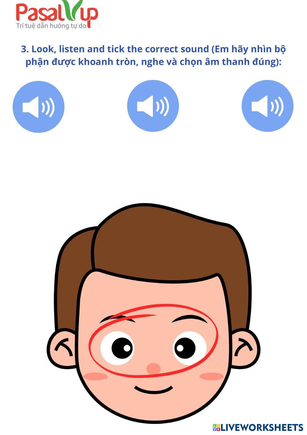 8048302 | 8.Lesson 8- Unit 2- Little Steps 1 | PasalVup