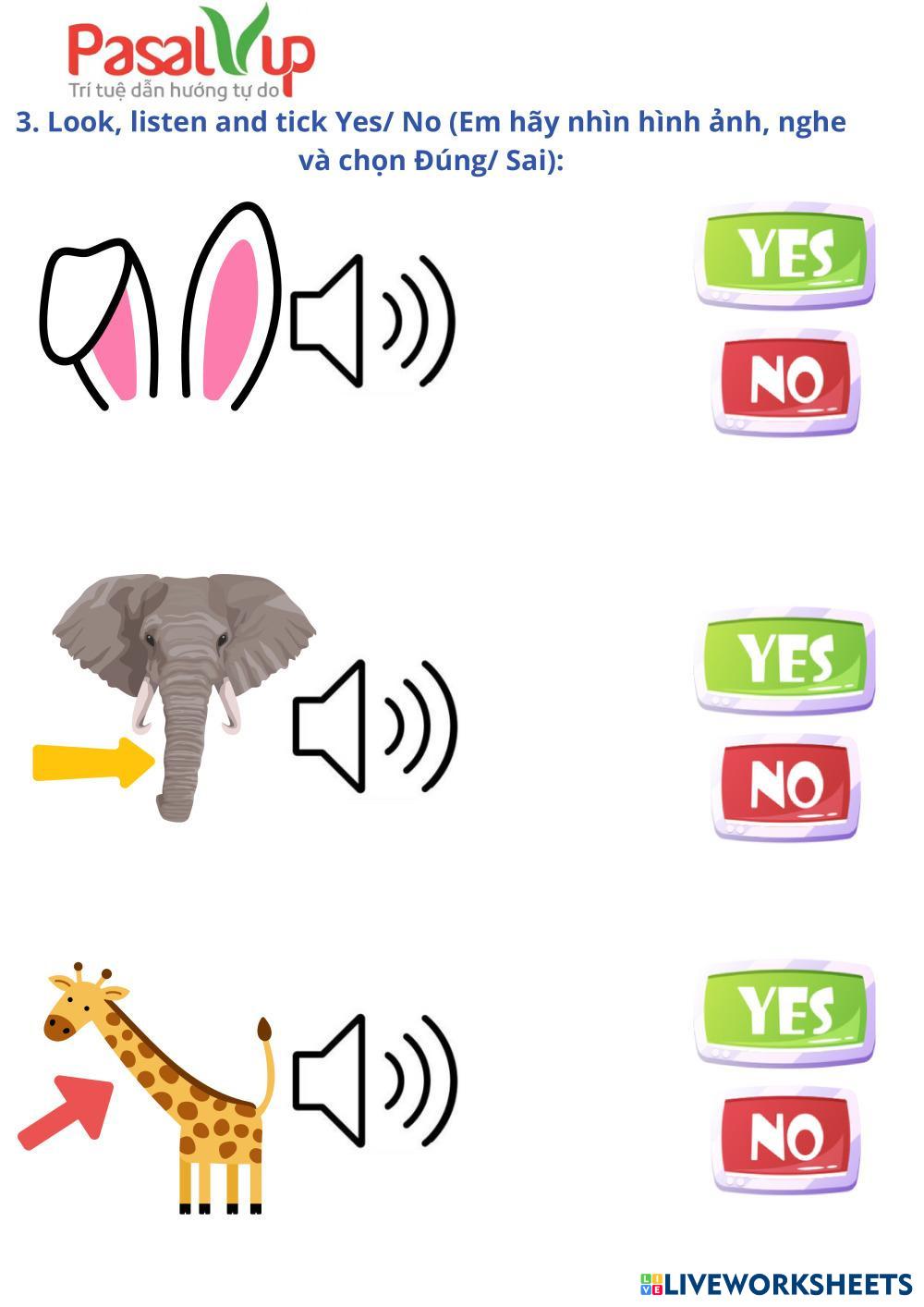 8048818 | 15. Lesson 15 - Unit 4 - Little Steps 3