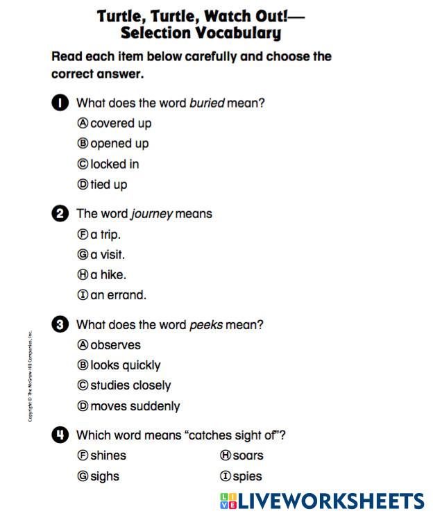 Turtle, turtle … | Free Interactive Worksheets | 8058292