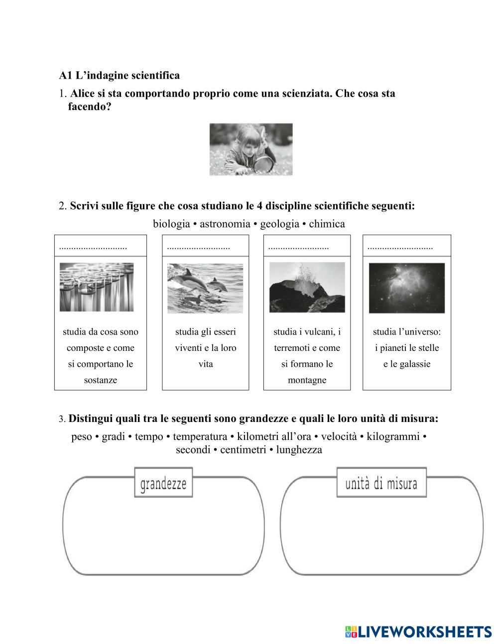 8060751 | Verifica di Scienze | Antonietta Carenza