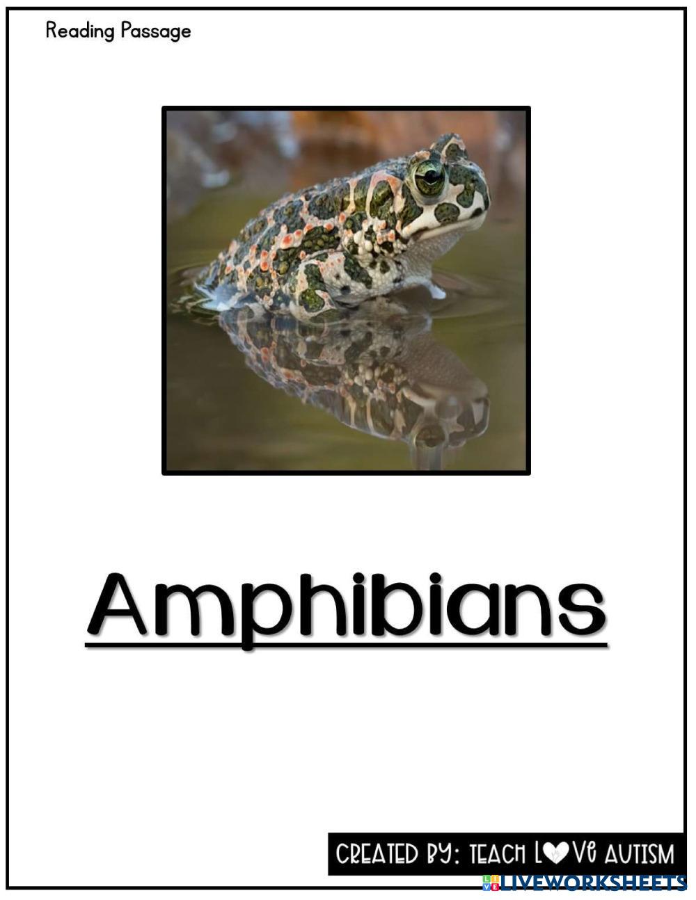 8062190 | amphibians | kerrymoid | LiveWorksheets