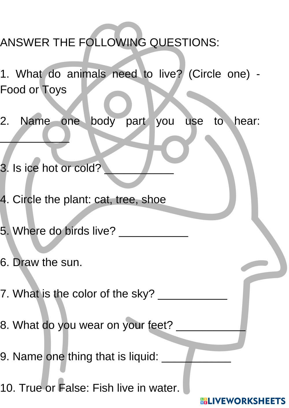 8074434 | Grade 1 Science Exploration Worksheets | Melody
