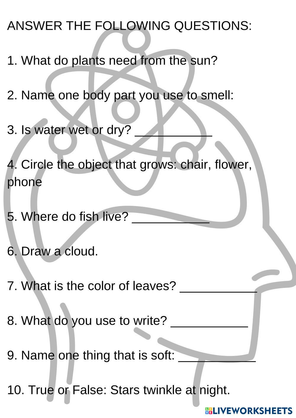 8074434 | Grade 1 Science Exploration Worksheets | Melody