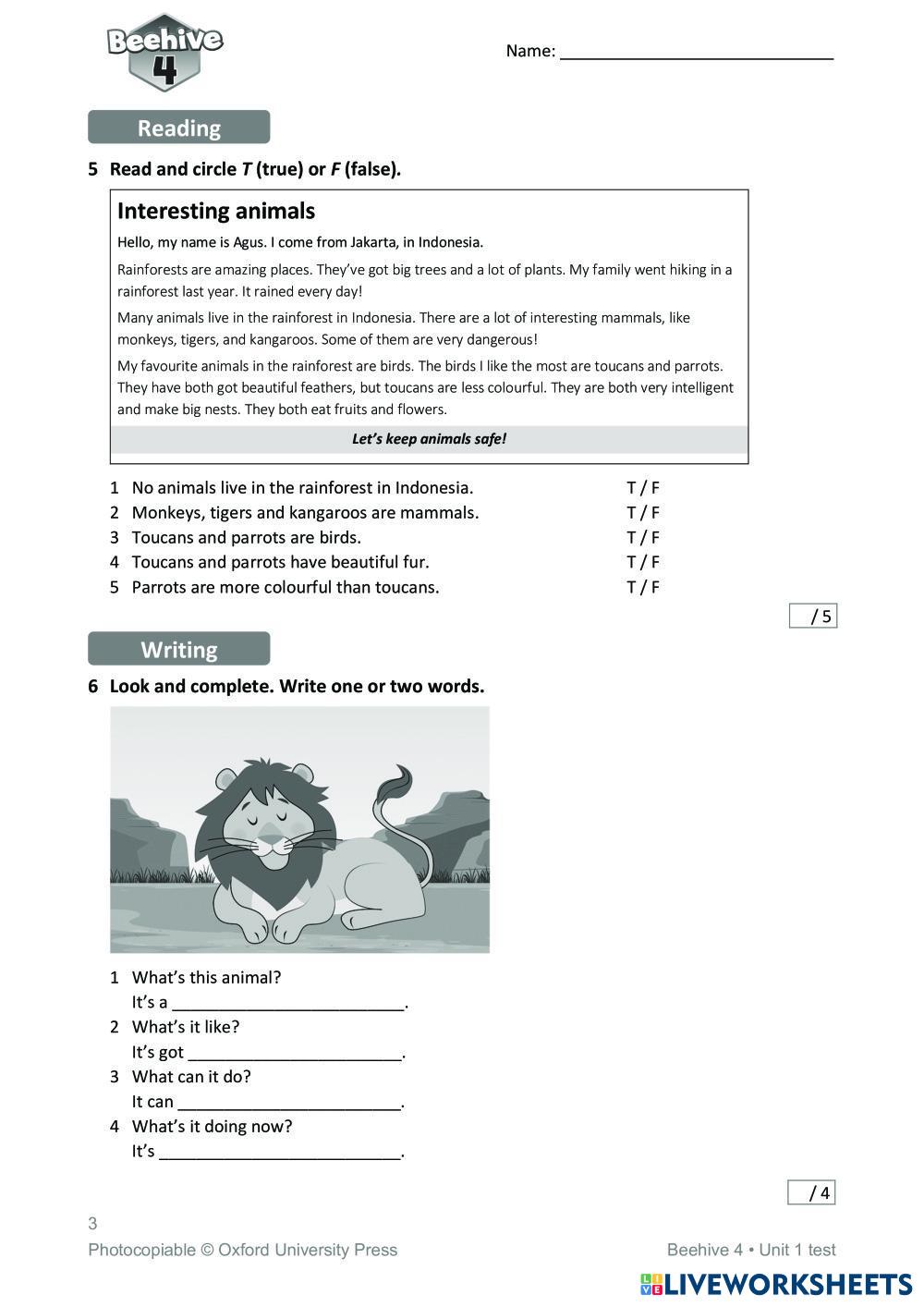 8087828 | Beehive 4 unit 1 | Ірина Олександрівна