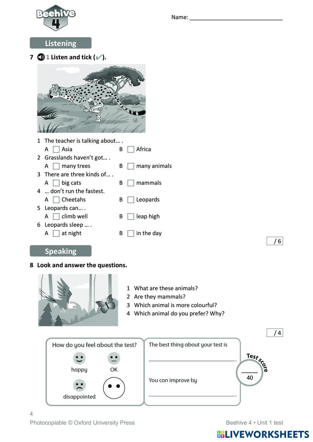 8087828 | Beehive 4 unit 1 | Ірина Олександрівна
