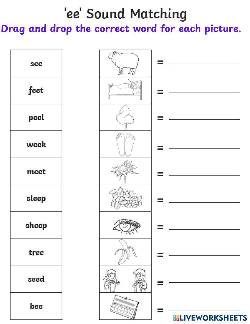 8088449 | Sound Matching | Teacher_Chick
