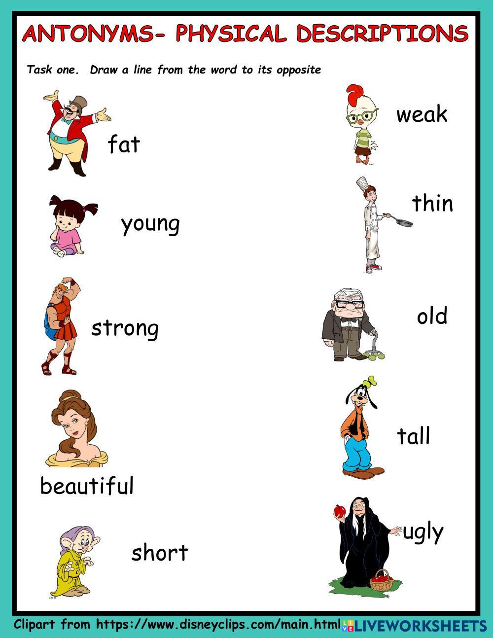 8103242 | Antonyms Physical Descriptions 3 Tasks A1