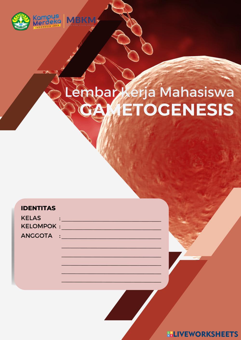 8108464 | LKM SPH-Gametogenesis | Delma | LiveWorksheets