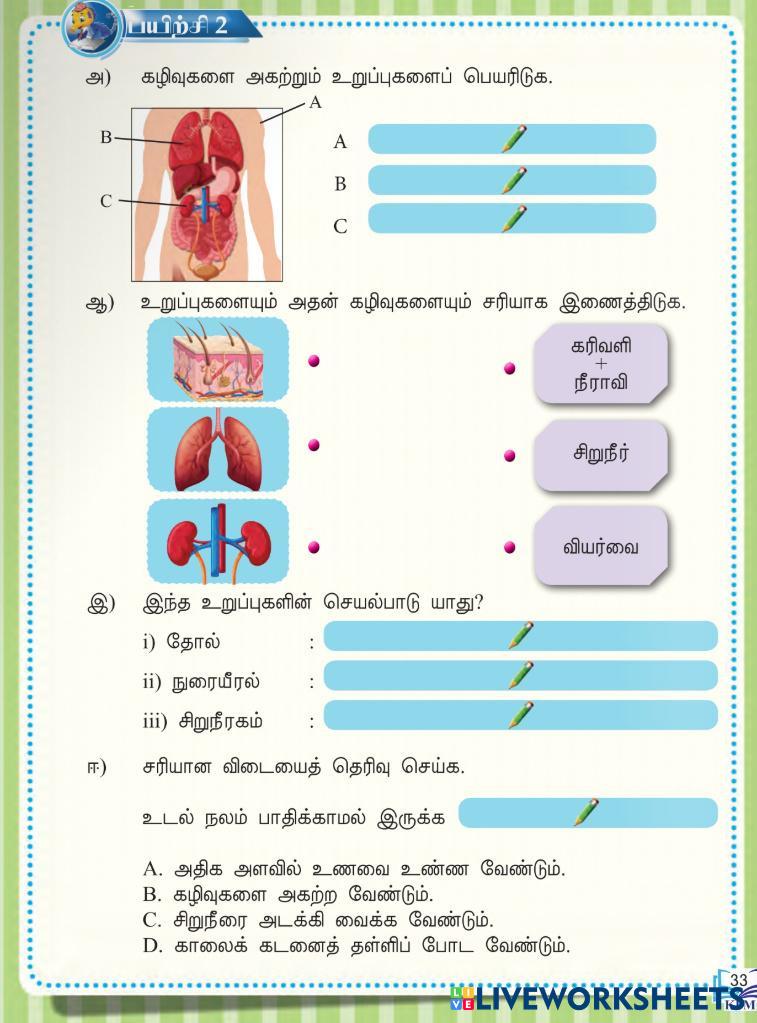 அறிவியல் (மனிதன… | Free Interactive Worksheets | 8114492