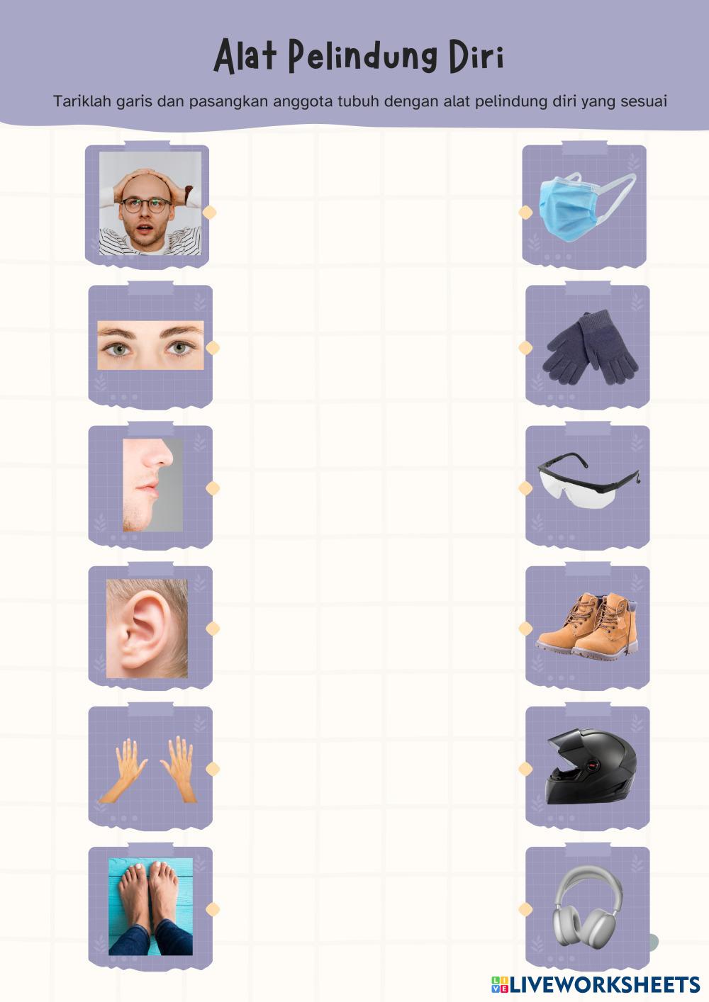 Progsus_APD | LiveWorksheets | 8119966