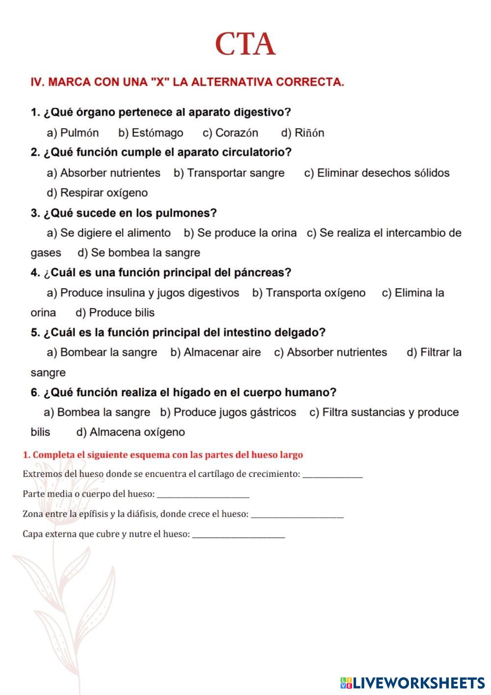 CTA | Science Worksheets | 8125086