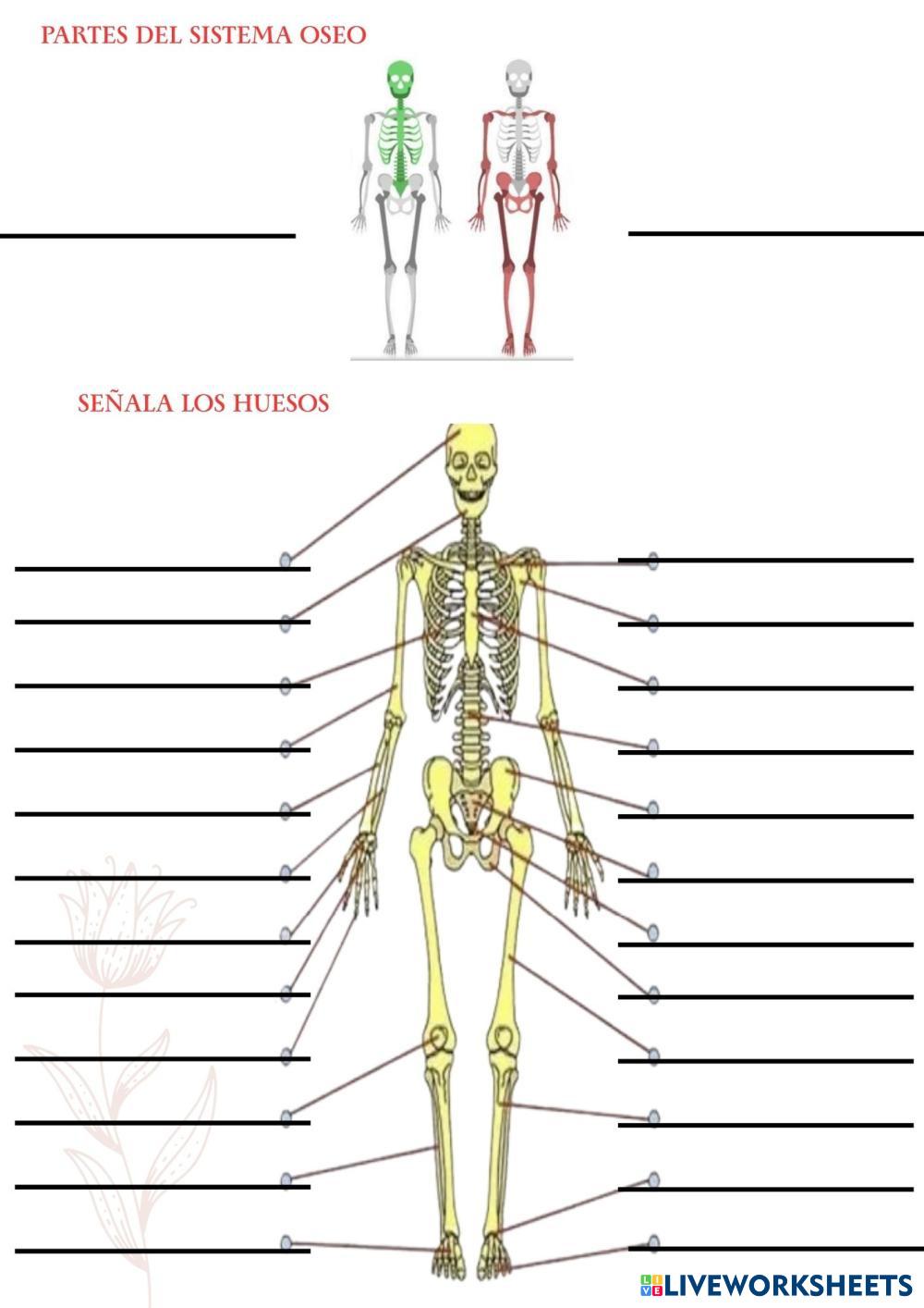 CTA | Science Worksheets | 8125086