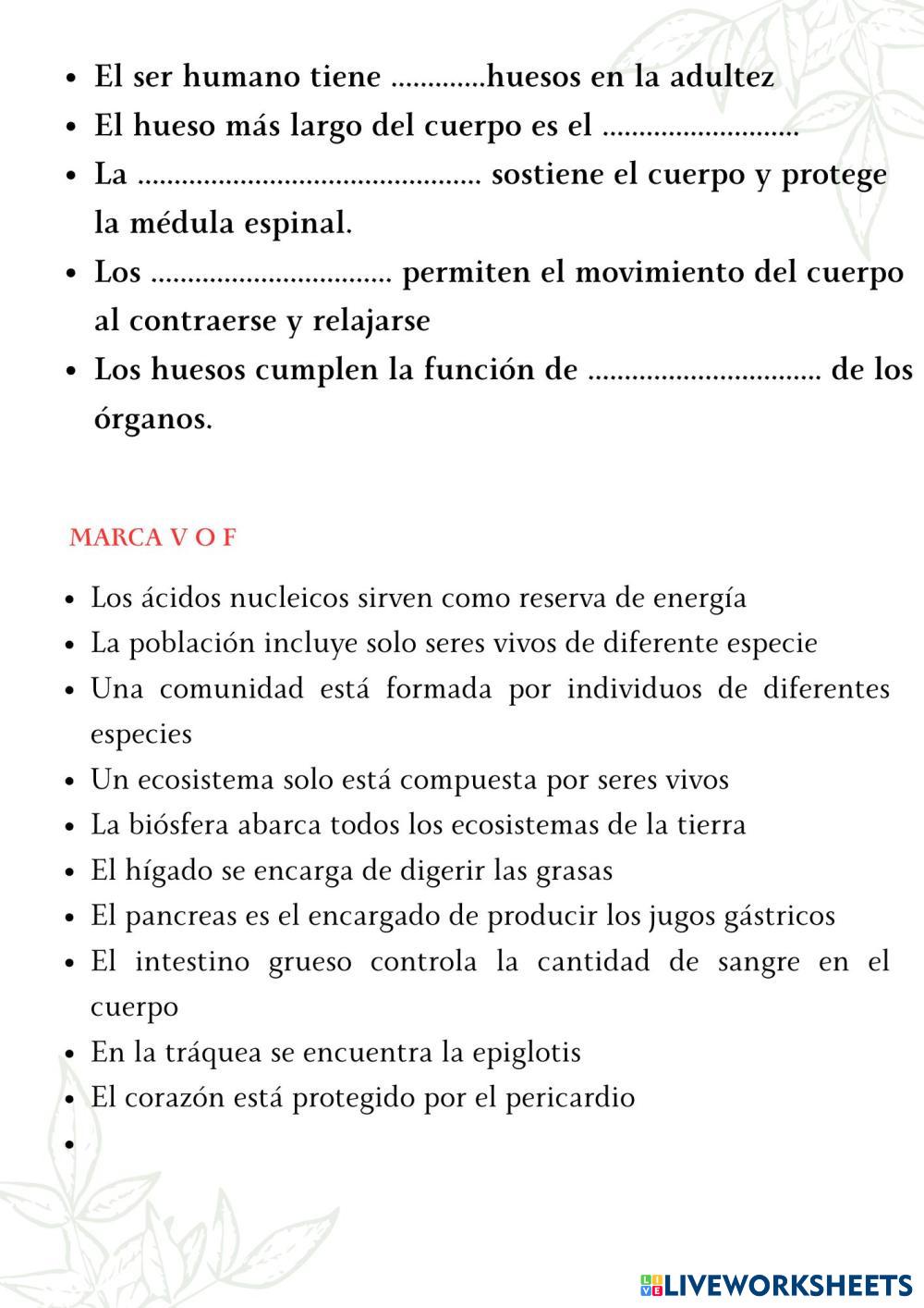 CTA | Science Worksheets | 8125086