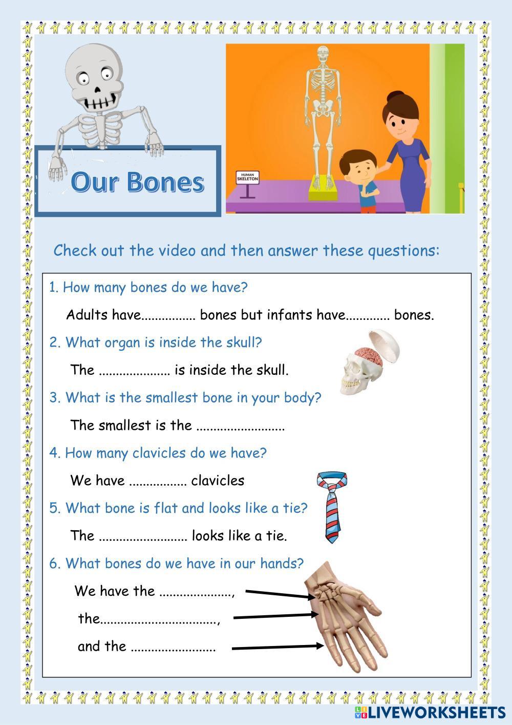 Bones | Science Worksheets | 8141207