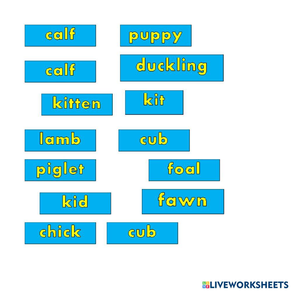 Animals | Science Worksheets | 8152009