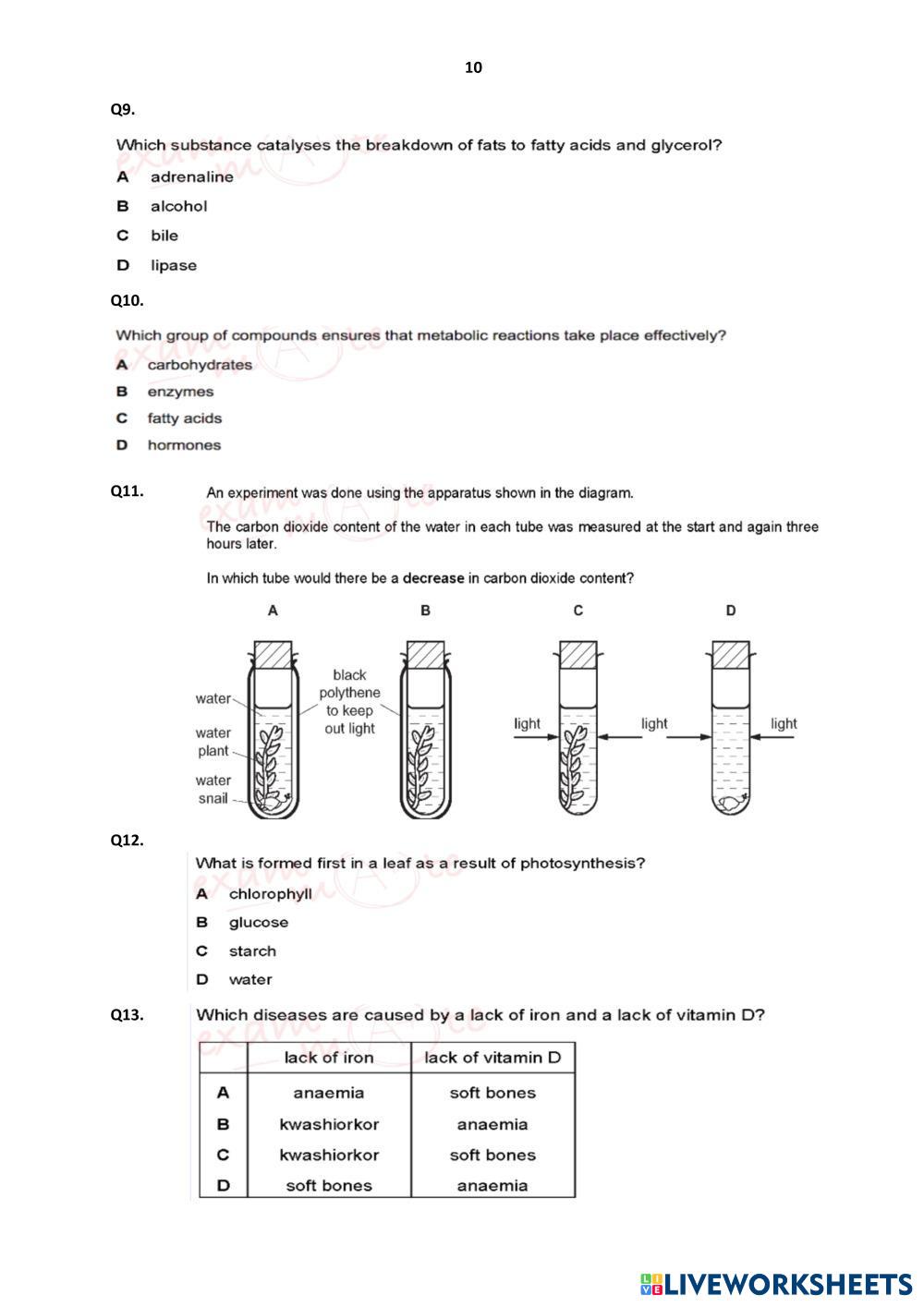 IGCSE (year 2) … | Science Worksheets | 8152473