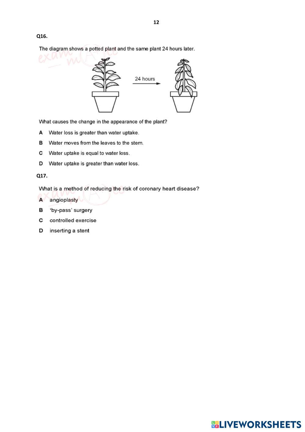 IGCSE (year 2) … | Science Worksheets | 8152473