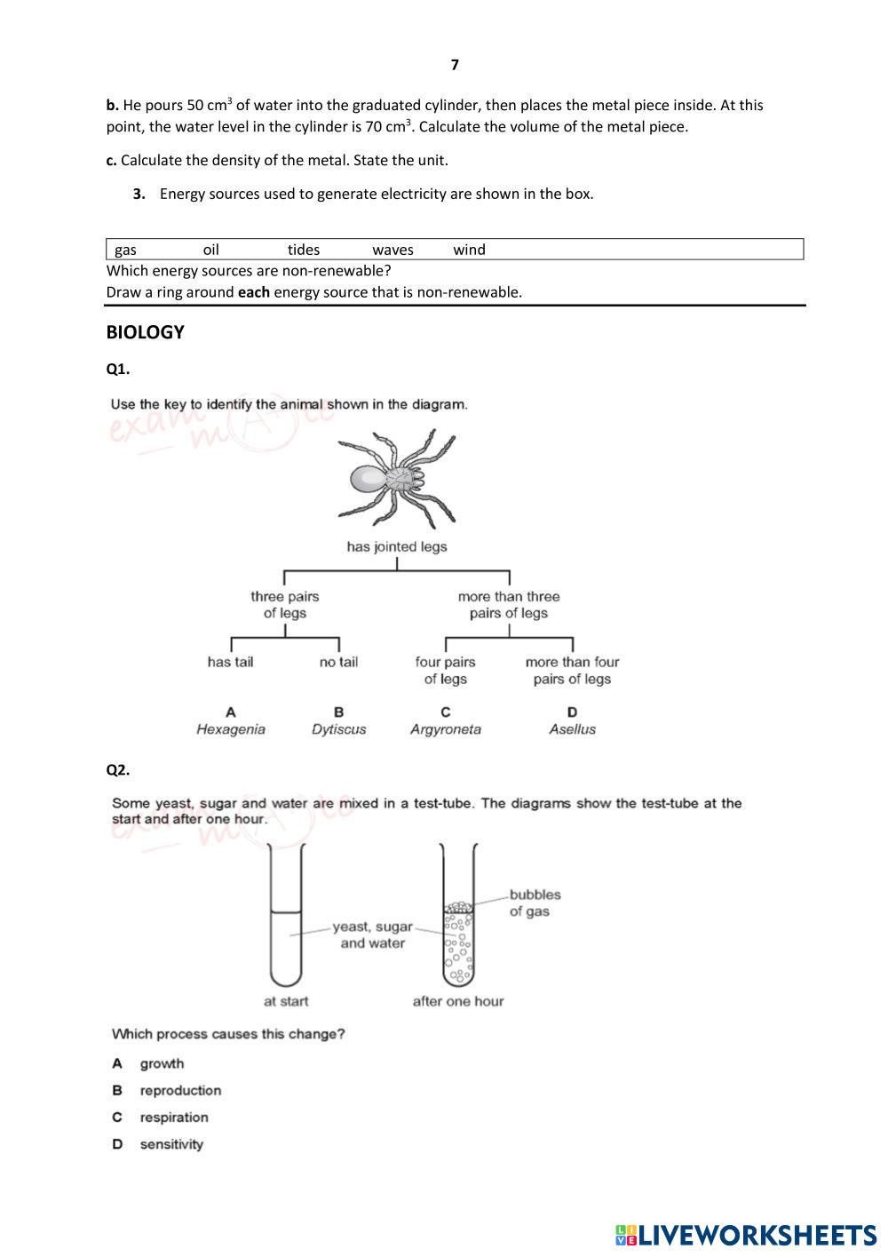 IGCSE (year 2) … | Science Worksheets | 8152473