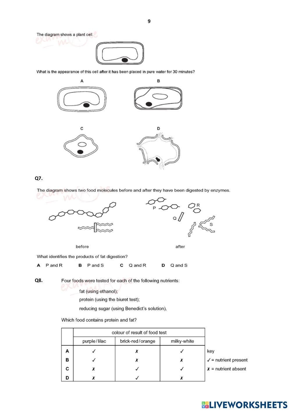 IGCSE (year 2) … | Science Worksheets | 8152473