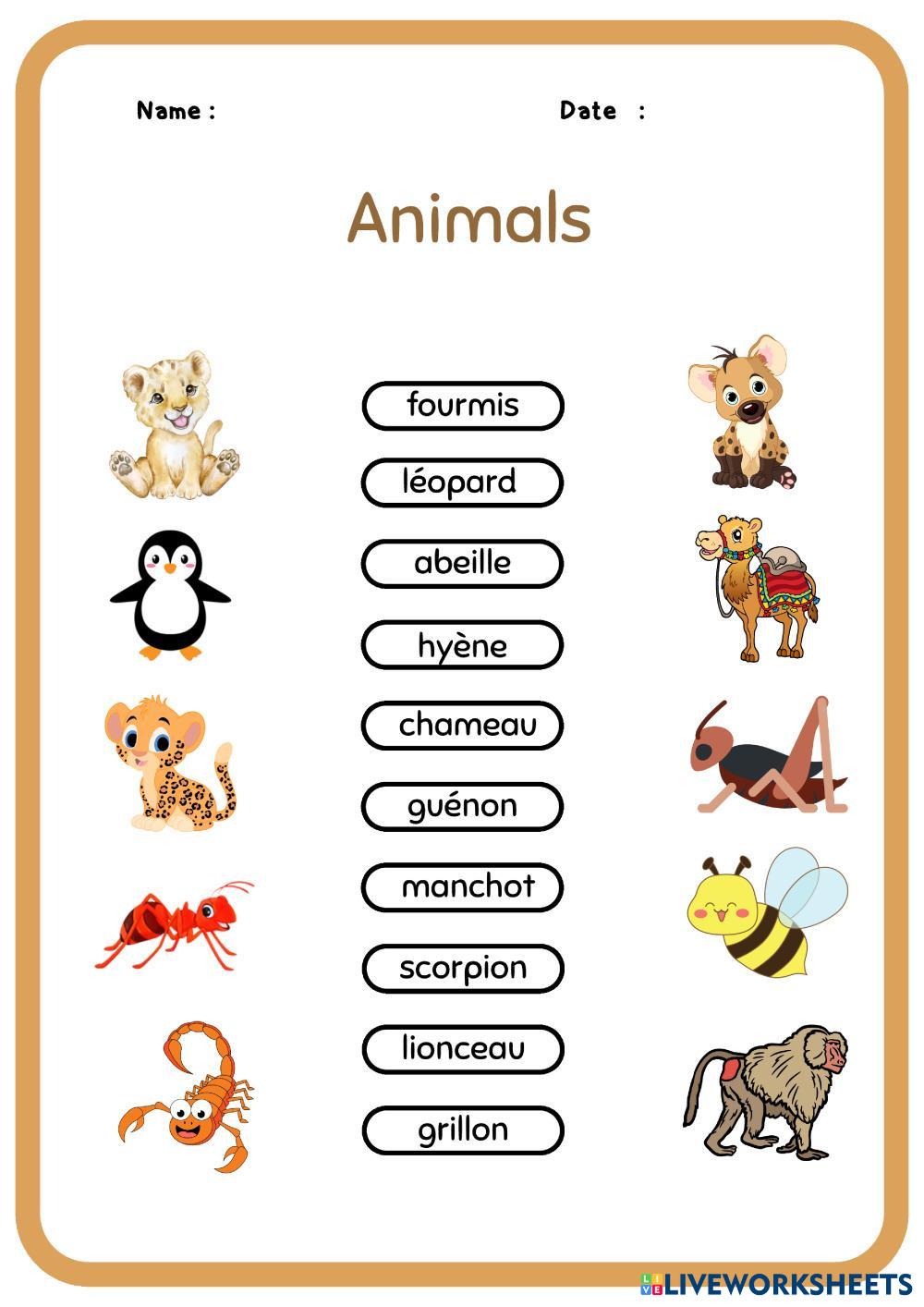 vocab animal | English Language Worksheets | 8152571
