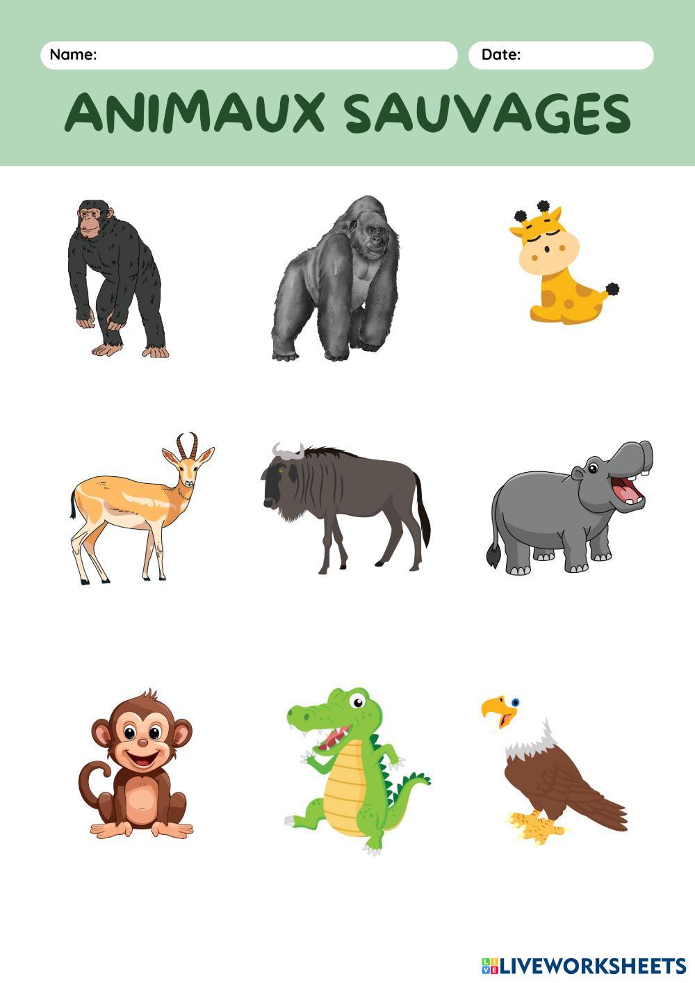 vocab animal | English Language Worksheets | 8152571