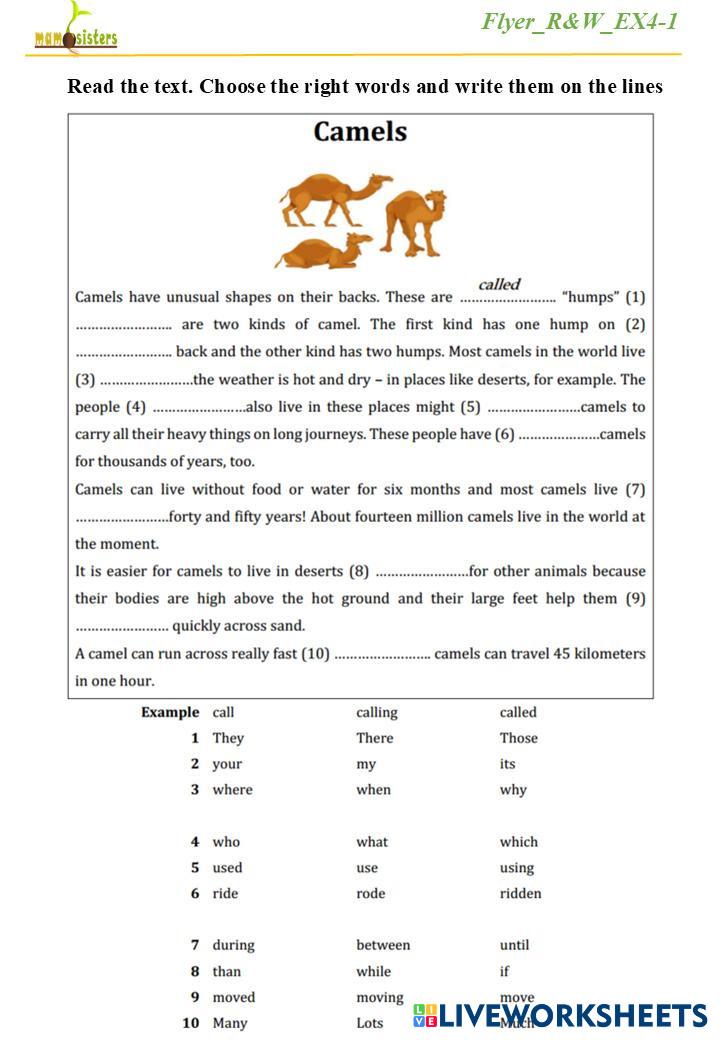 Flyer-Reading-P… | ESL Worksheets | 8155029