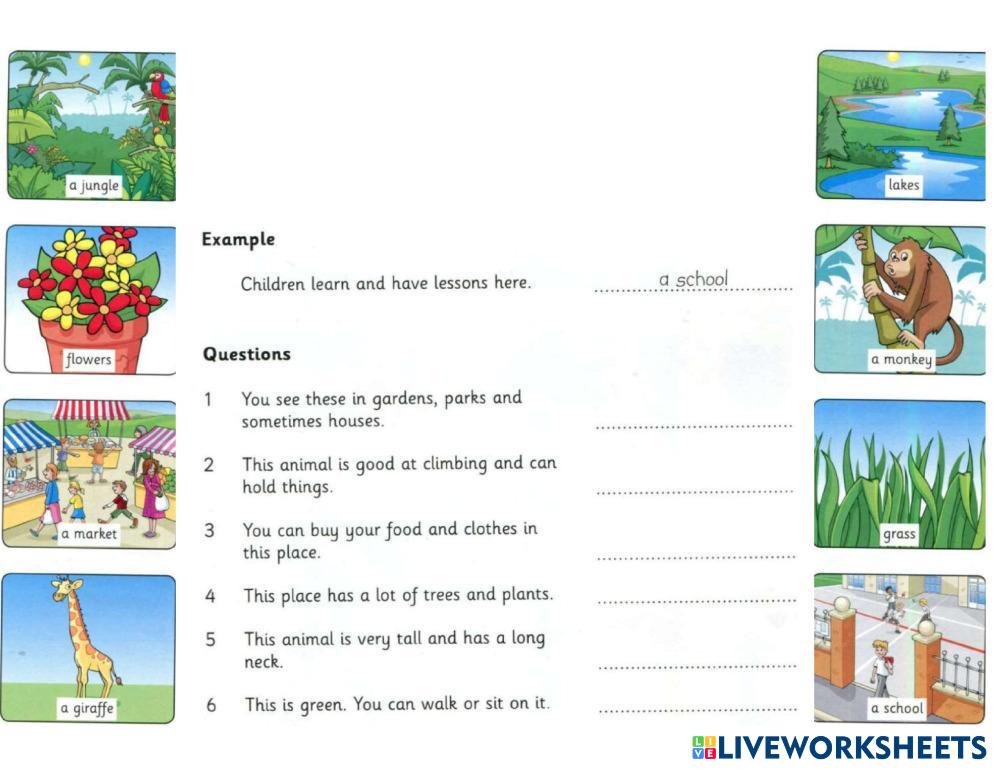 M9 - P1 - R&W | English Language Worksheets | 8164567