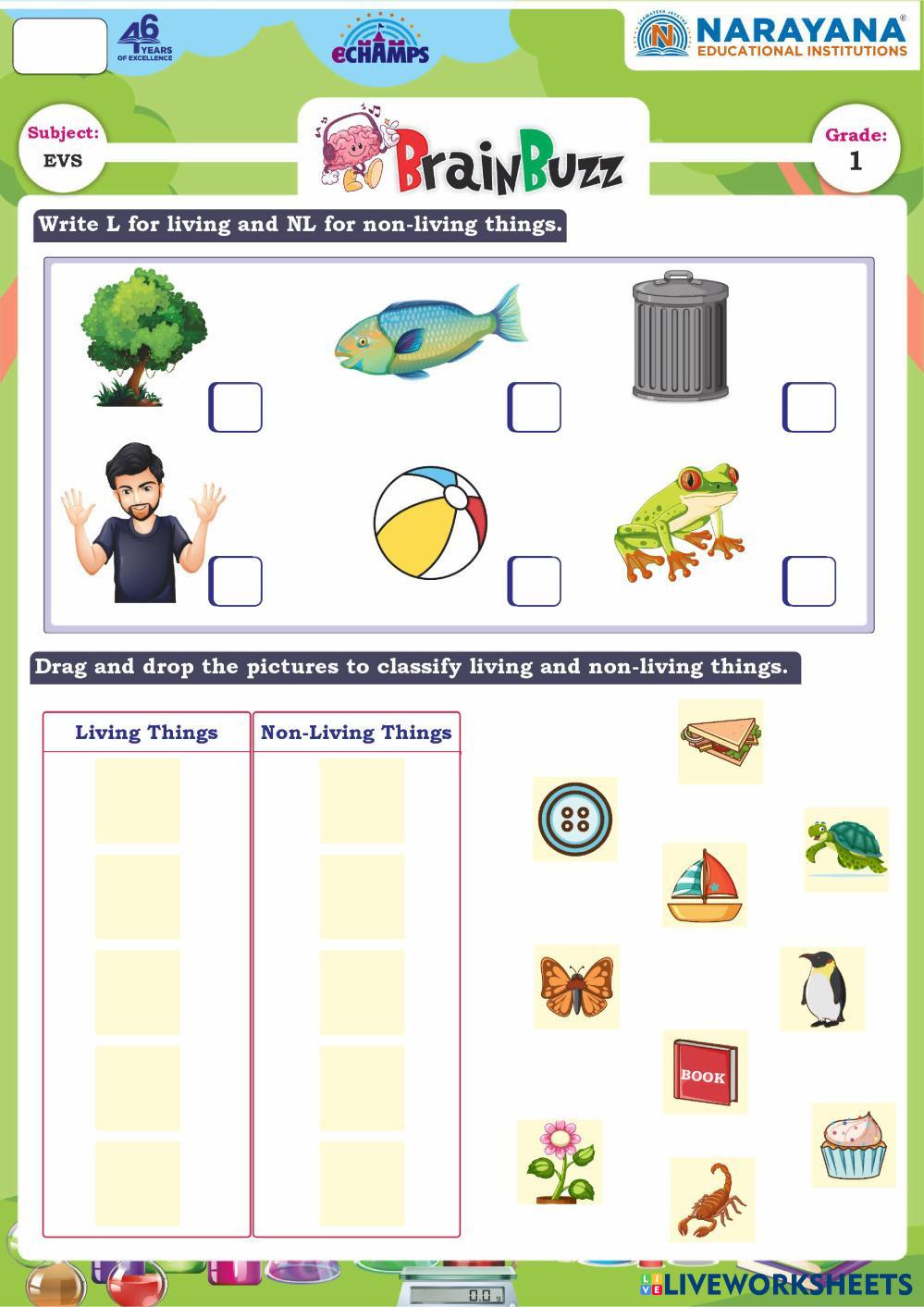 June_Brain Buzz… | English Language Worksheets | 8165738