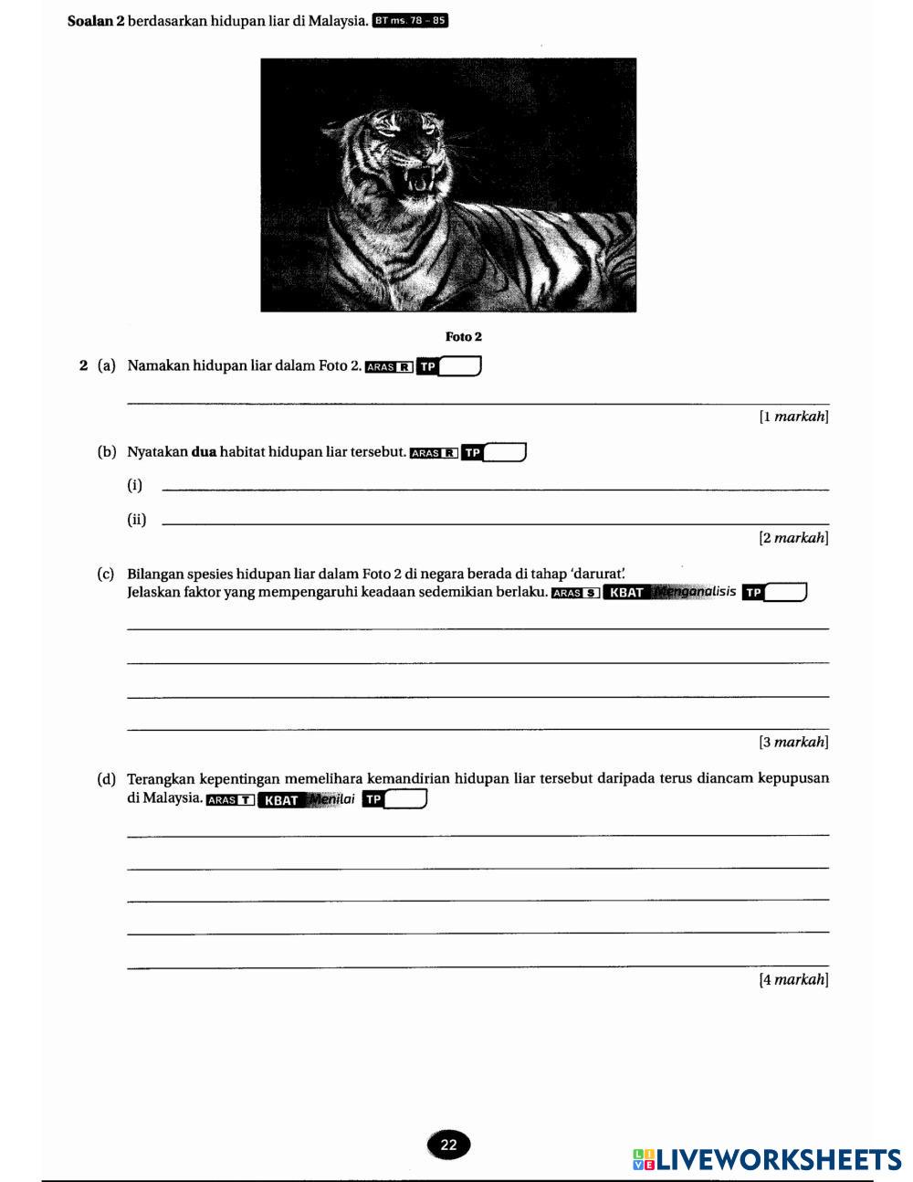 Geo T3 Bab 5 | Social Studies Worksheets | 8174029