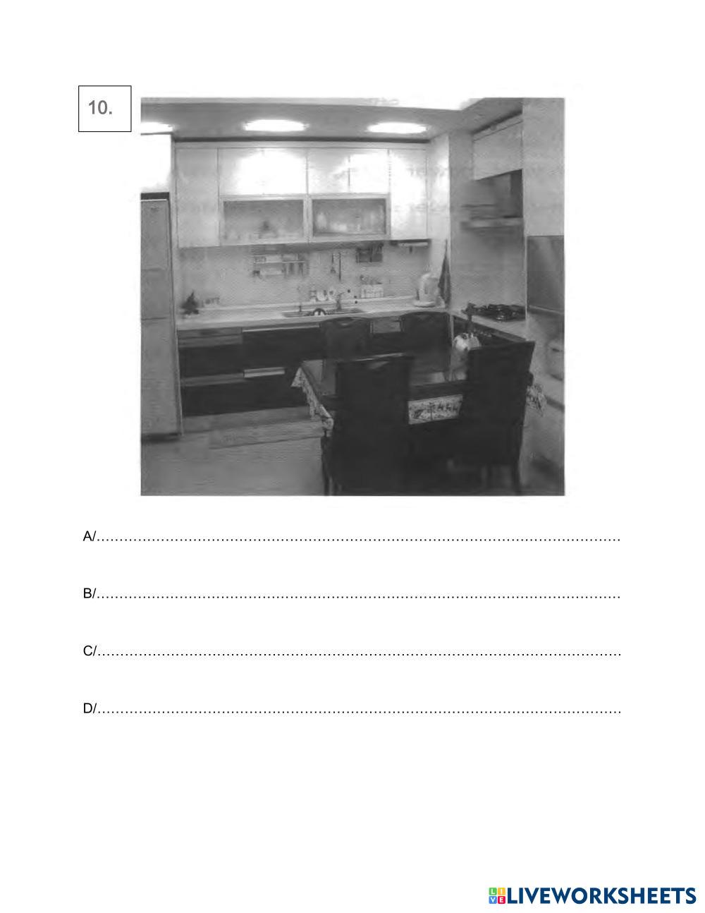 Unit 4 | ESL Worksheets | 8175575