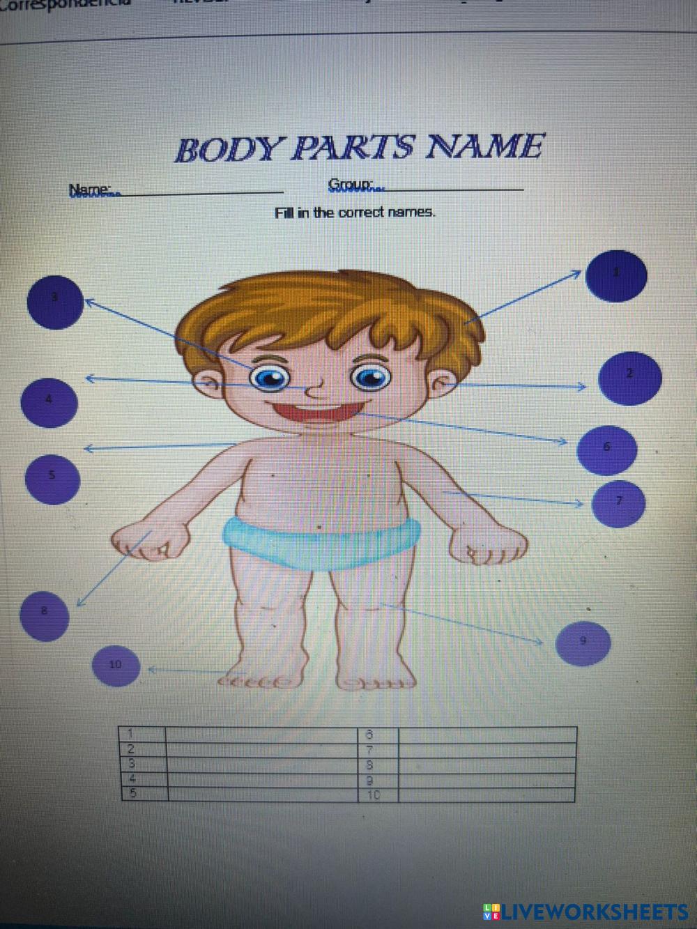 parts of the bo… | Language Arts Worksheets | 8180234