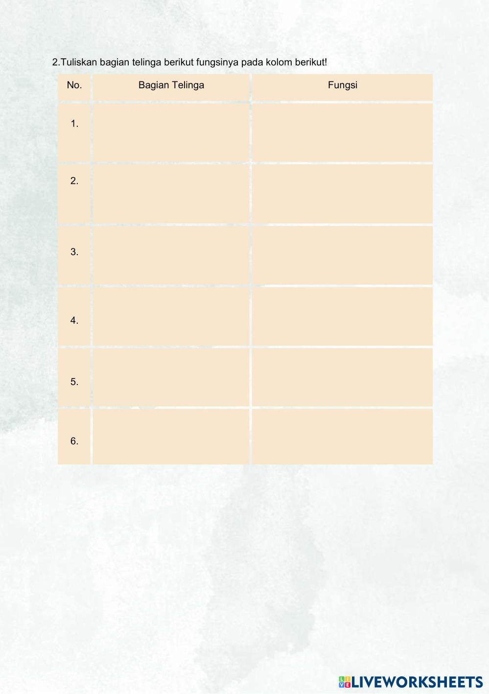 bagian telinga | Science Worksheets | 8185940