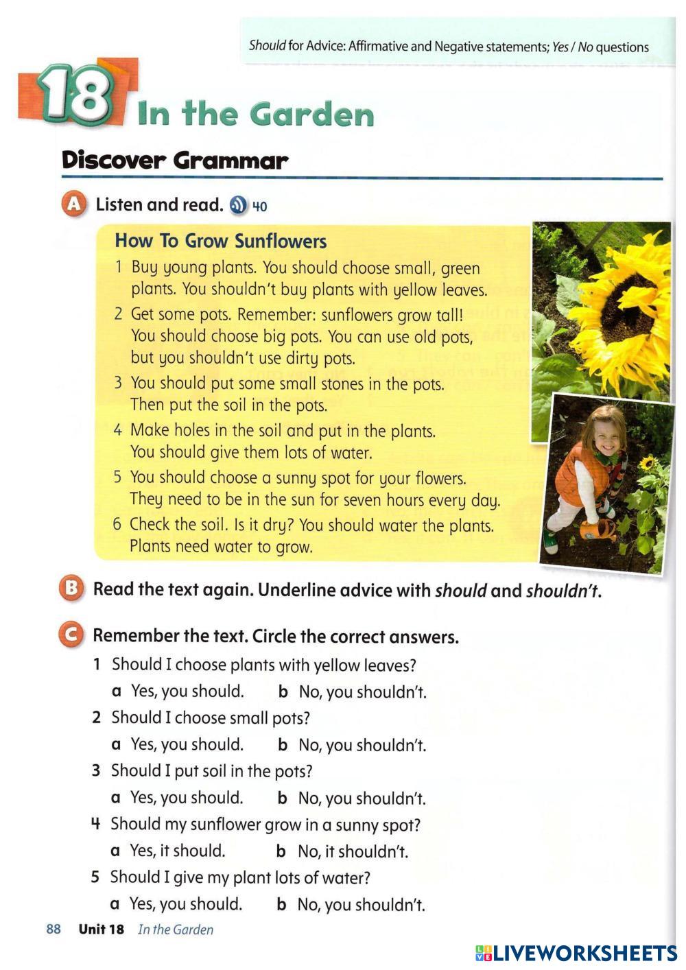 G1 - U18 - Gram | ESL Worksheets | 8186047