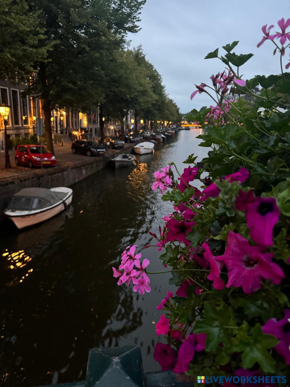 Life experience | English Language Worksheets | 8236926