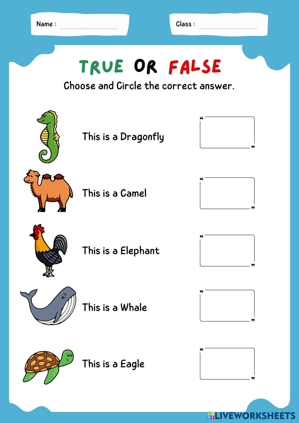 True And False | English Language Worksheets | 8327322