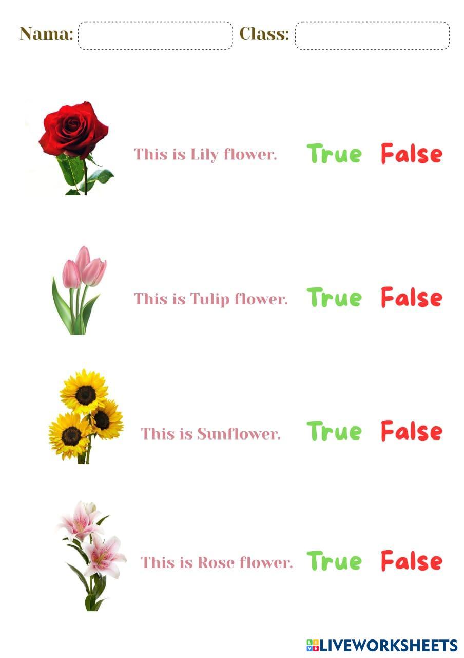 single choice | English Language Worksheets | 8329698