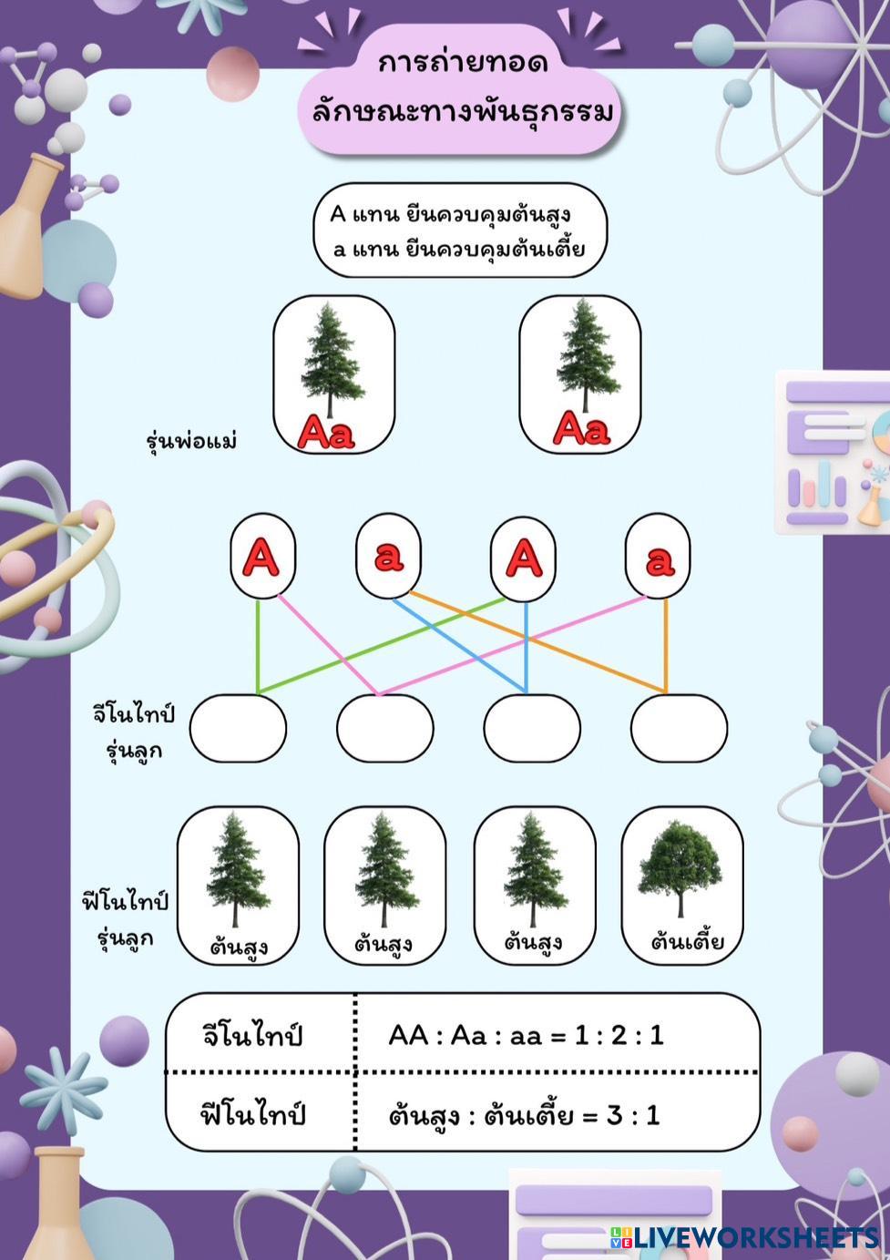 2 | Science Worksheets | 8332500